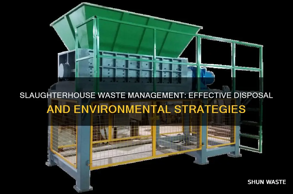 Slaughterhouse Waste Management: Effective Disposal And Environmental ...