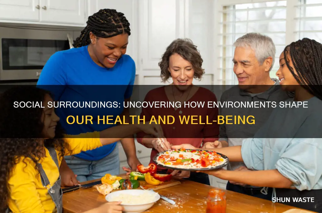 Social Surroundings: Uncovering How Environments Shape Our Health And ...
