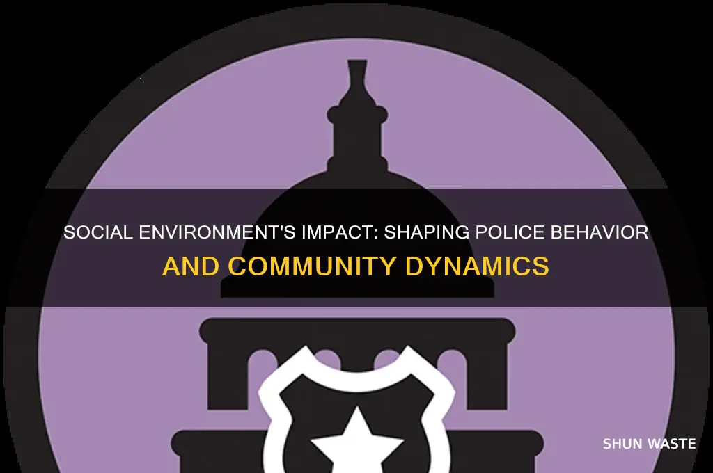 Social Environment's Impact: Shaping Police Behavior And Community ...