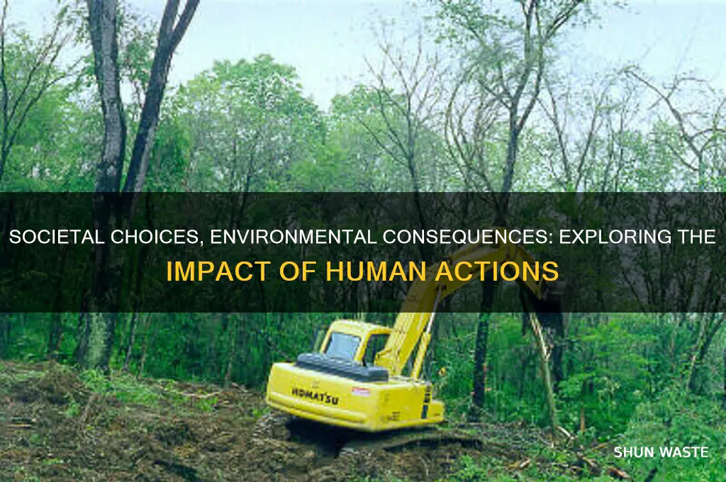 Societal Choices, Environmental Consequences: Exploring The Impact Of ...