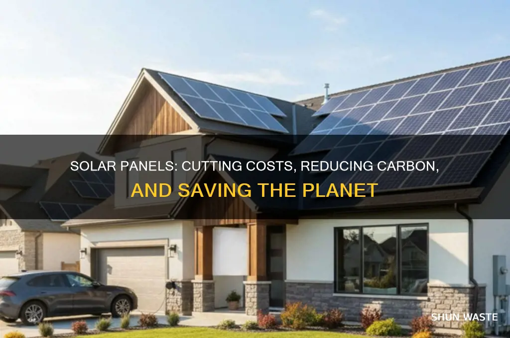 Solar Panels: Cutting Costs, Reducing Carbon, And Saving The Planet ...