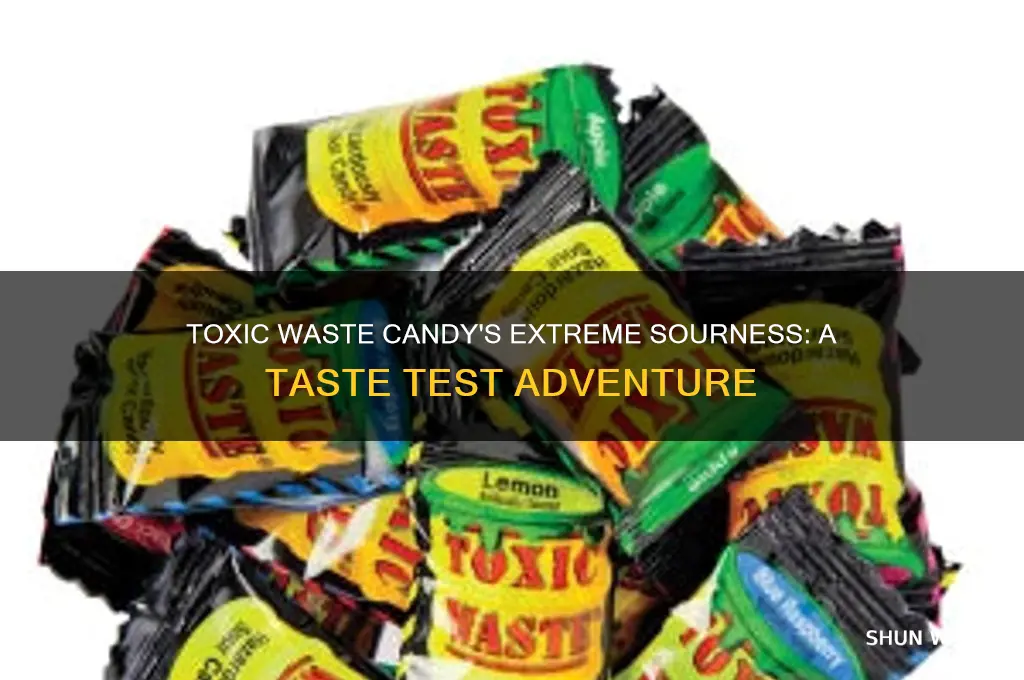 Toxic Waste Candy's Extreme Sourness: A Taste Test Adventure | ShunWaste