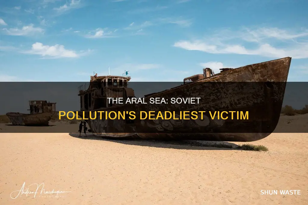 The Aral Sea: Soviet Pollution's Deadliest Victim | ShunWaste