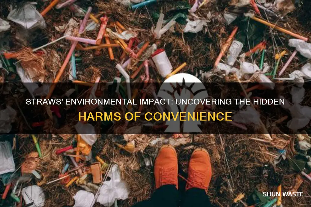 Straws' Environmental Impact: Uncovering The Hidden Harms Of ...