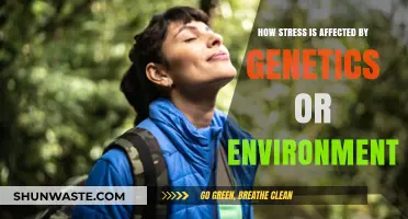 Sports' Environmental Impact: Sustainability Challenges And Green ...