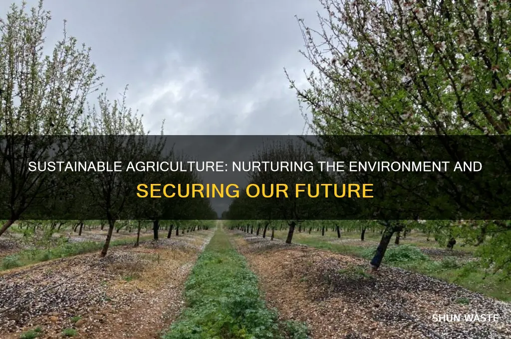 Sustainable Agriculture: Nurturing The Environment And Securing Our ...