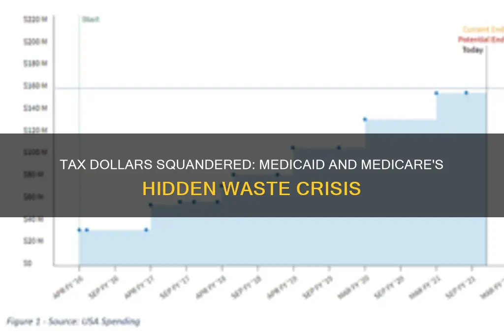 Tax Dollars Squandered: Medicaid And Medicare's Hidden Waste Crisis ...