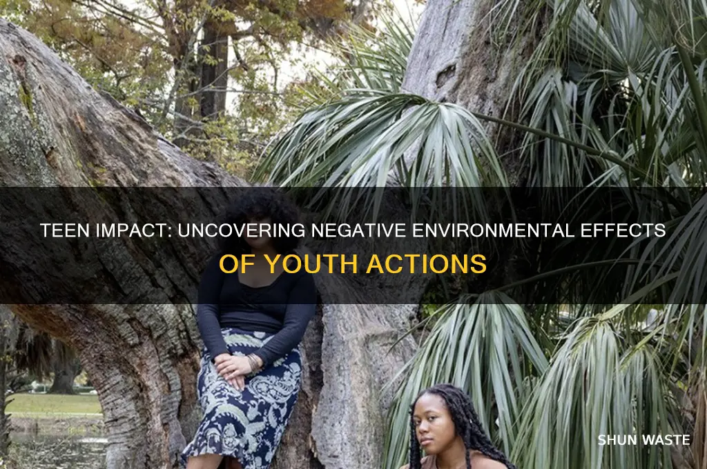 Teen Impact: Uncovering Negative Environmental Effects Of Youth Actions ...