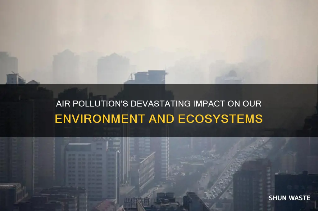 Air Pollution's Devastating Impact On Our Environment And Ecosystems ...