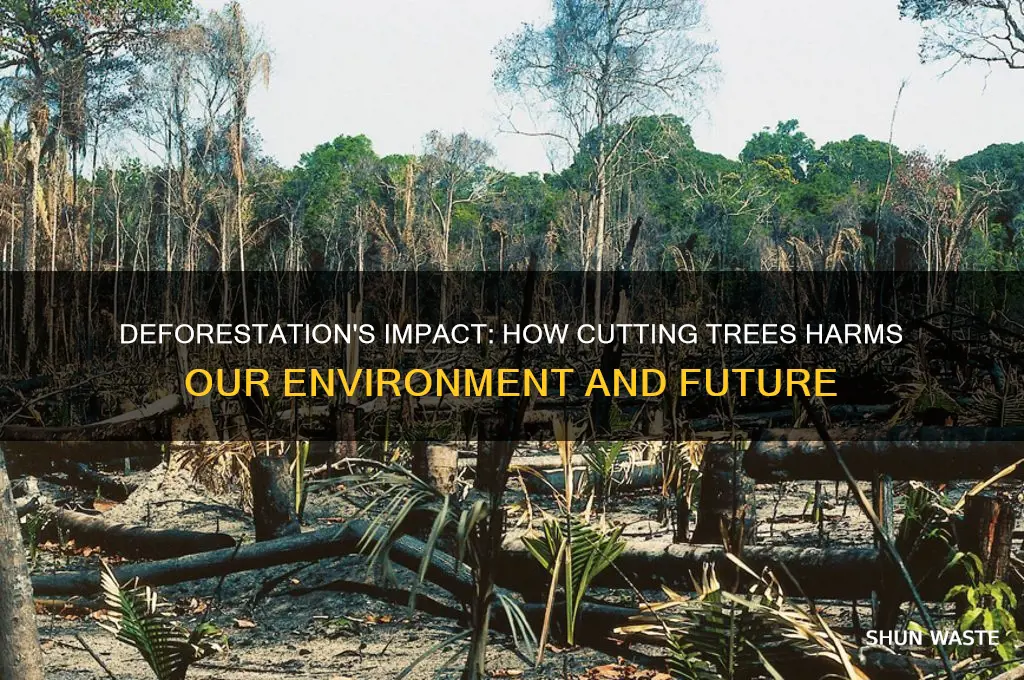 Deforestation's Impact: How Cutting Trees Harms Our Environment And ...