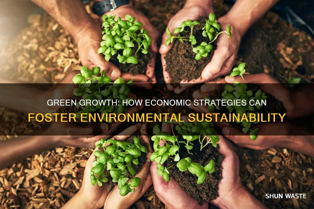 Green Growth: How Economic Strategies Can Foster Environmental ...
