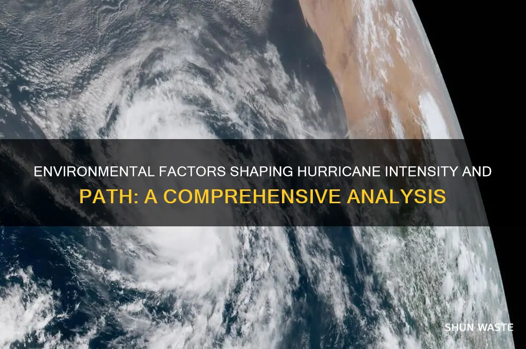 Environmental Factors Shaping Hurricane Intensity And Path: A ...