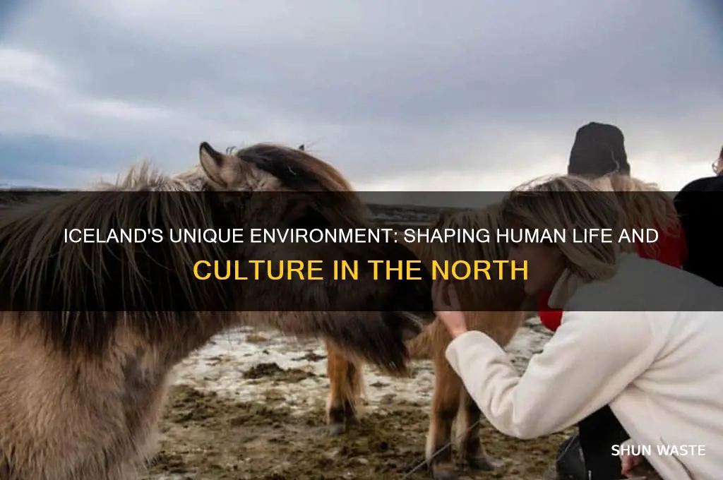 Iceland's Unique Environment: Shaping Human Life And Culture In The ...