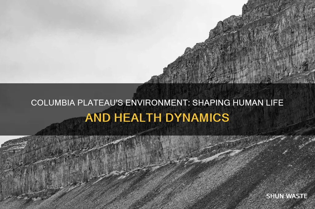 Columbia Plateau's Environment: Shaping Human Life And Health Dynamics ...