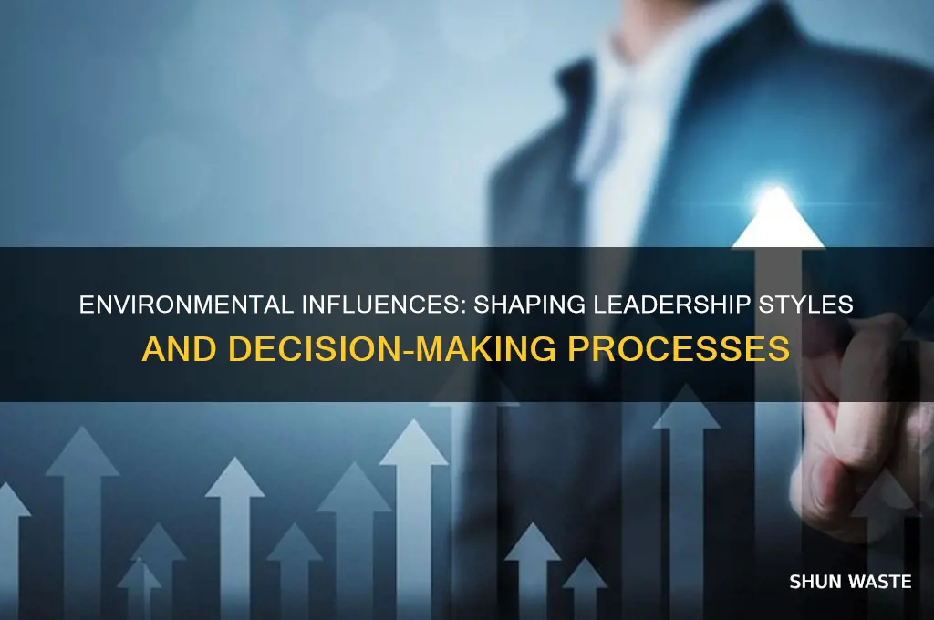 Environmental Influences: Shaping Leadership Styles And Decision-Making ...