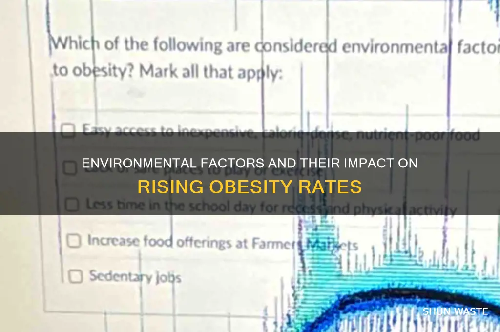 Environmental Factors And Their Impact On Rising Obesity Rates | ShunWaste