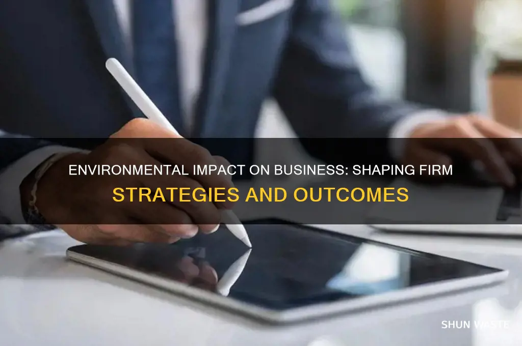 Environmental Impact On Business: Shaping Firm Strategies And Outcomes ...