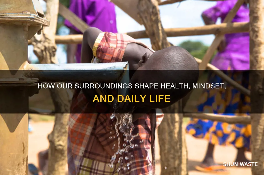 How Our Surroundings Shape Health, Mindset, And Daily Life | ShunWaste