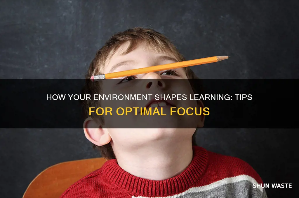 How Your Environment Shapes Learning: Tips For Optimal Focus | ShunWaste