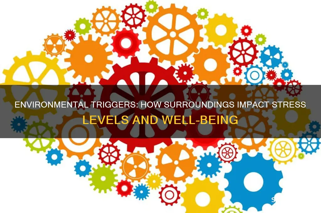 Environmental Triggers: How Surroundings Impact Stress Levels And Well ...