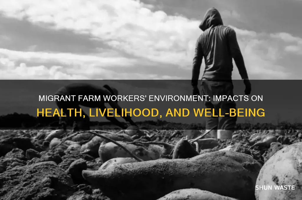 Migrant Farm Workers' Environment: Impacts On Health, Livelihood, And ...