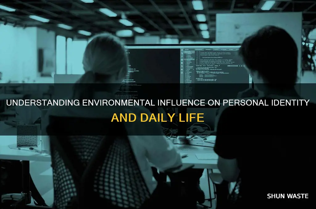 Understanding Environmental Influence On Personal Identity And Daily ...