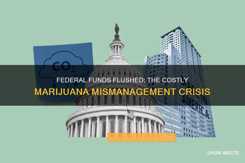 Federal Funds Flushed: The Costly Marijuana Mismanagement Crisis ...
