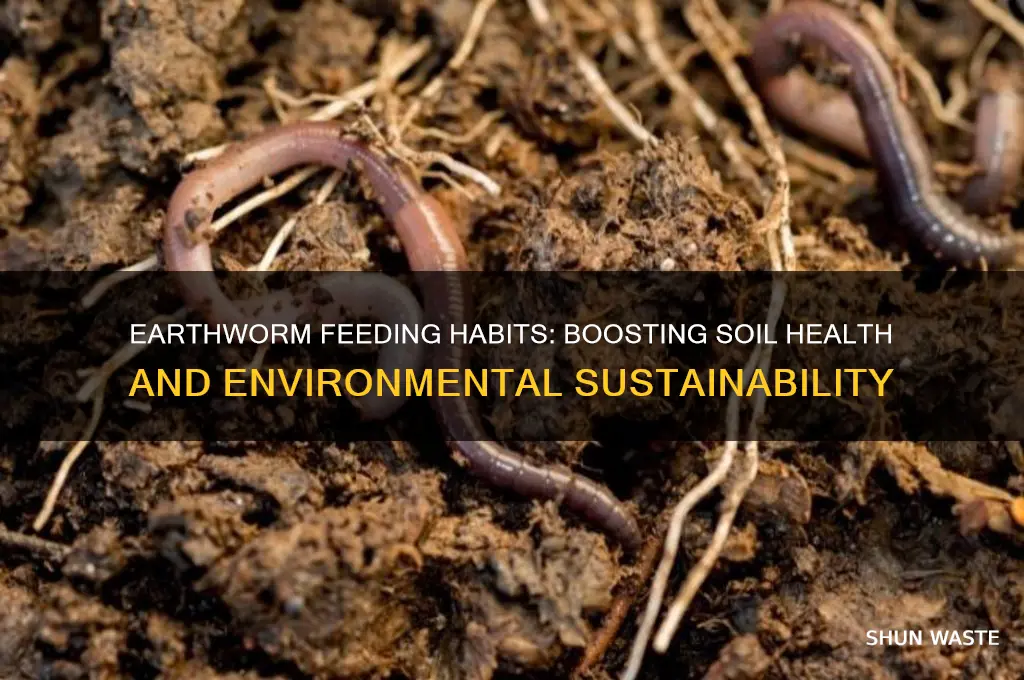 Earthworm Feeding Habits: Boosting Soil Health And Environmental ...