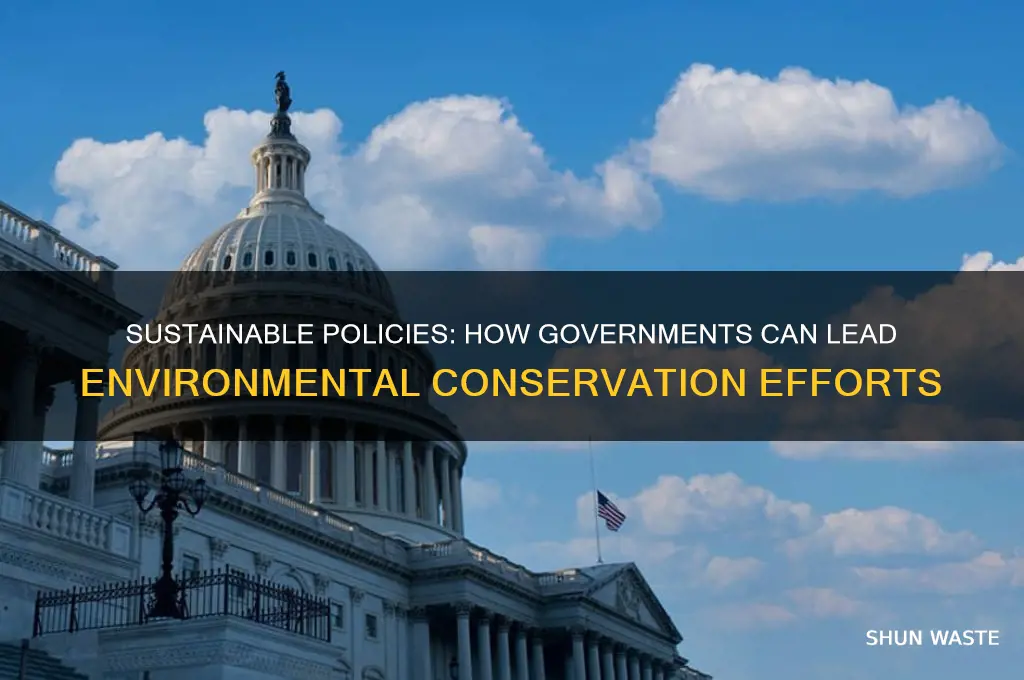 Sustainable Policies: How Governments Can Lead Environmental ...