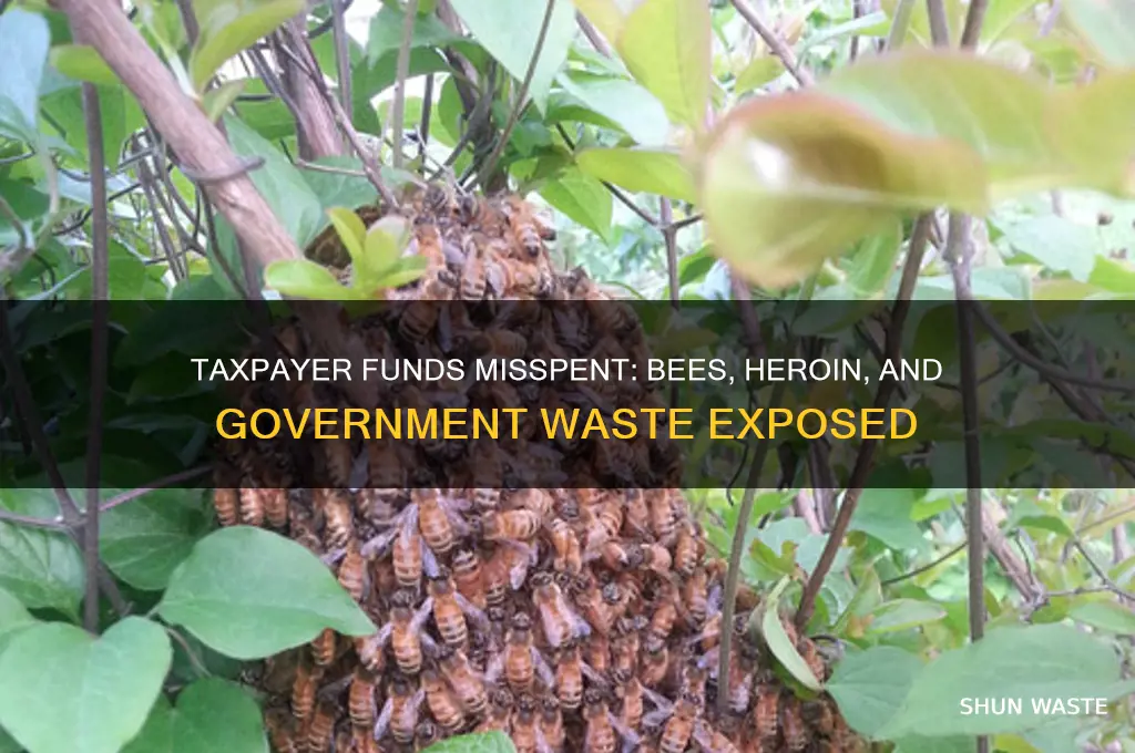 Taxpayer Funds Misspent: Bees, Heroin, And Government Waste Exposed ...