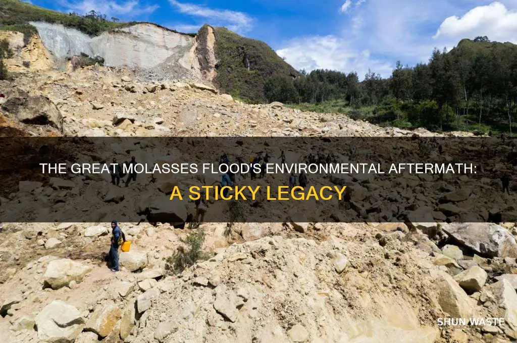 The Great Molasses Flood's Environmental Aftermath: A Sticky Legacy ...