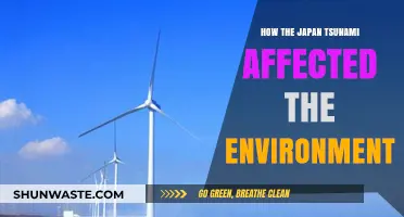The Lorax's Legacy: Environmental Impact And Lessons For Sustainability ...