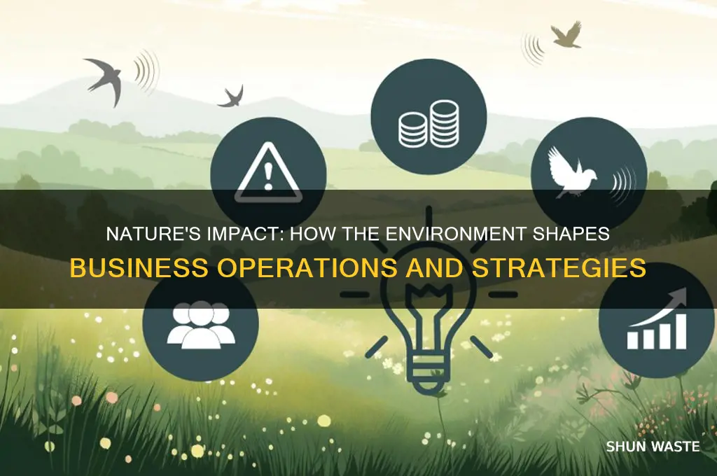 Nature's Impact: How The Environment Shapes Business Operations And ...