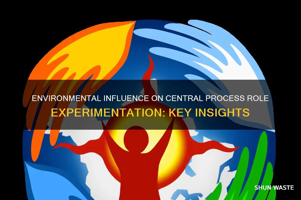 Environmental Influence On Central Process Role Experimentation: Key ...