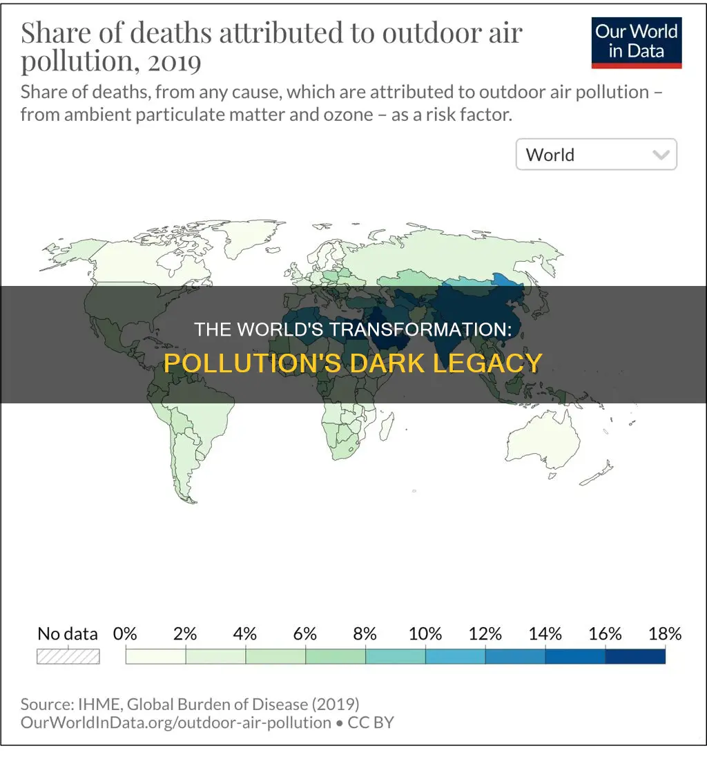 The World's Transformation: Pollution's Dark Legacy | ShunWaste