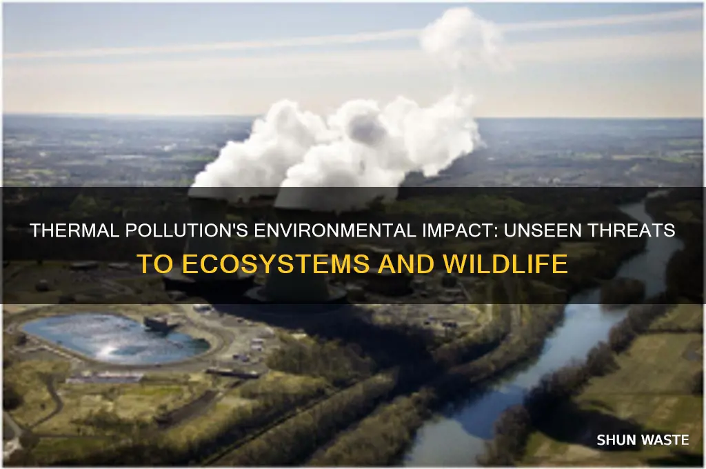 Thermal Pollution's Environmental Impact: Unseen Threats To Ecosystems ...