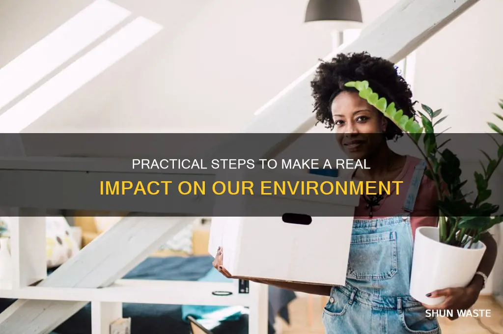 Practical Steps To Make A Real Impact On Our Environment | ShunWaste