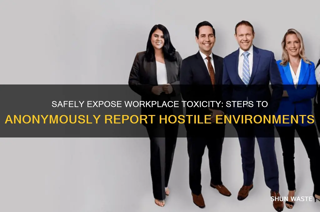 Safely Expose Workplace Toxicity: Steps To Anonymously Report Hostile ...