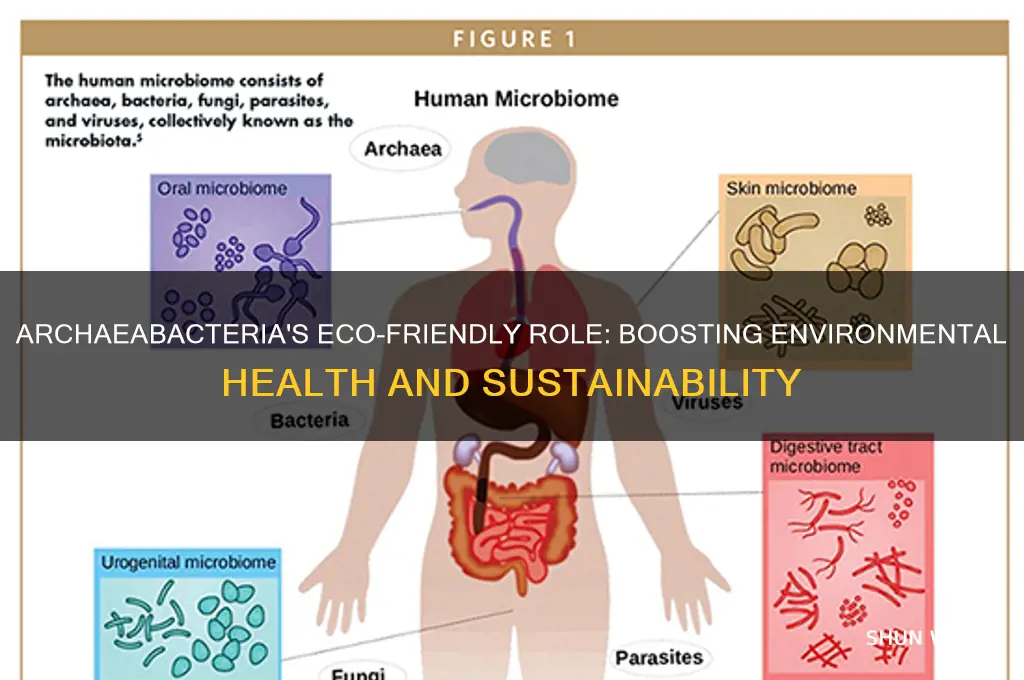 Archaeabacteria's Eco-Friendly Role: Boosting Environmental Health And ...