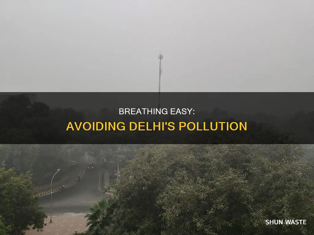 Breathing Easy: Avoiding Delhi's Pollution | ShunWaste