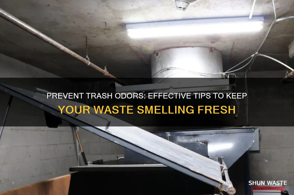 Prevent Trash Odors: Effective Tips To Keep Your Waste Smelling Fresh ...