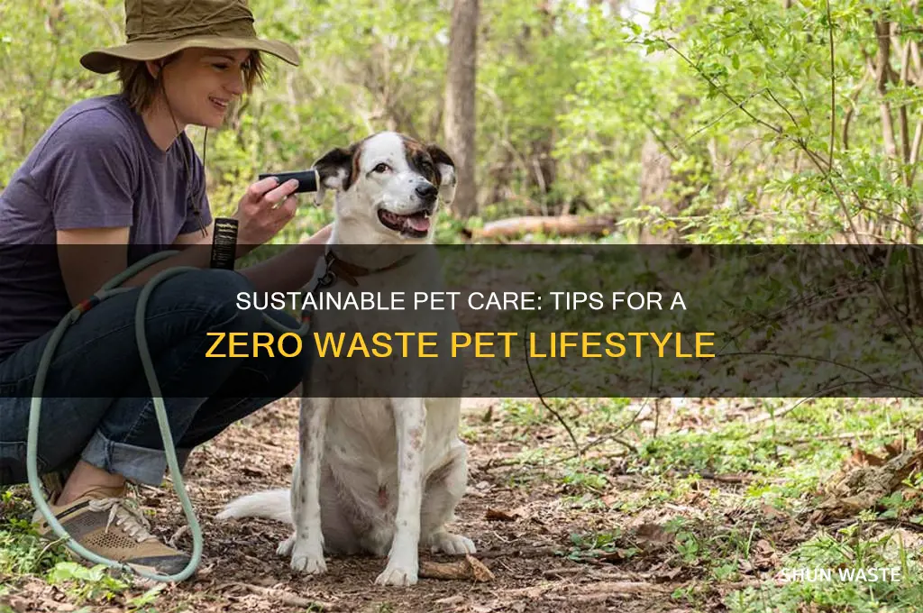 Sustainable Pet Care: Tips For A Zero Waste Pet Lifestyle | ShunWaste