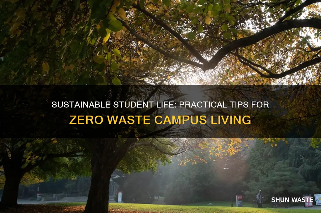 Sustainable Student Life: Practical Tips For Zero Waste Campus Living ...