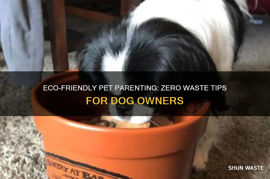 Eco-Friendly Pet Parenting: Zero Waste Tips For Dog Owners | ShunWaste