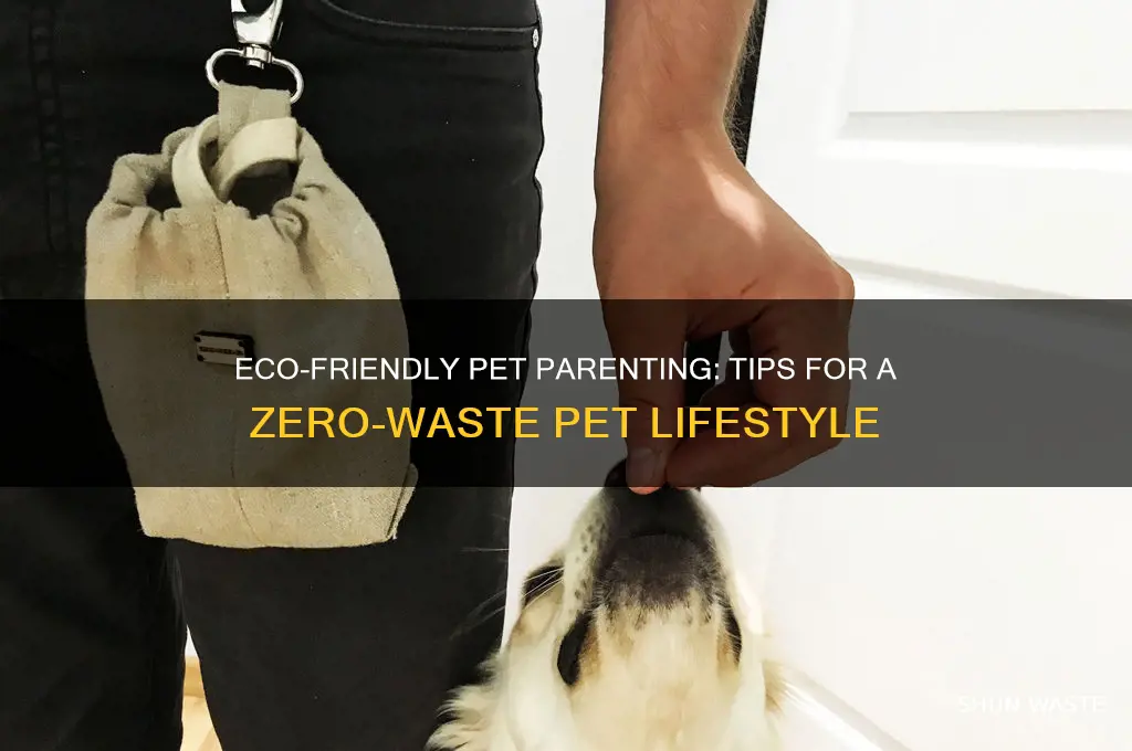Eco-Friendly Pet Parenting: Tips For A Zero-Waste Pet Lifestyle | ShunWaste