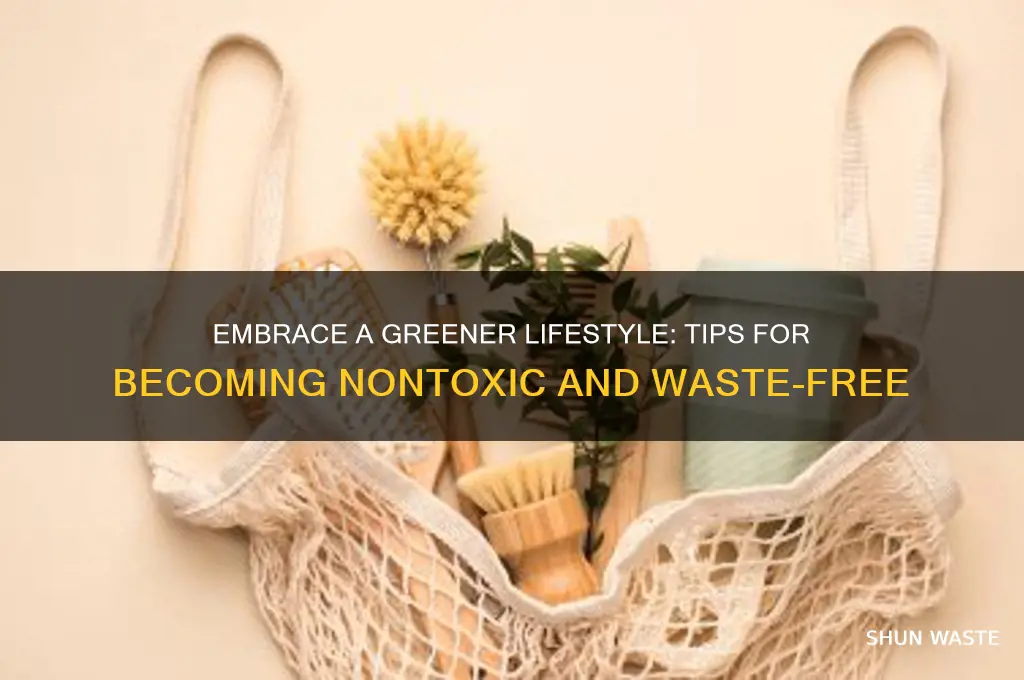 Embrace A Greener Lifestyle: Tips For Becoming Nontoxic And Waste-Free ...