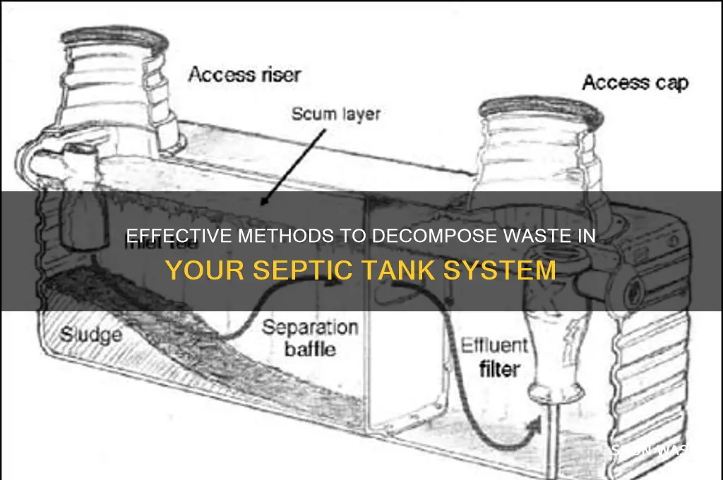 Effective Methods To Decompose Waste In Your Septic Tank System | ShunWaste
