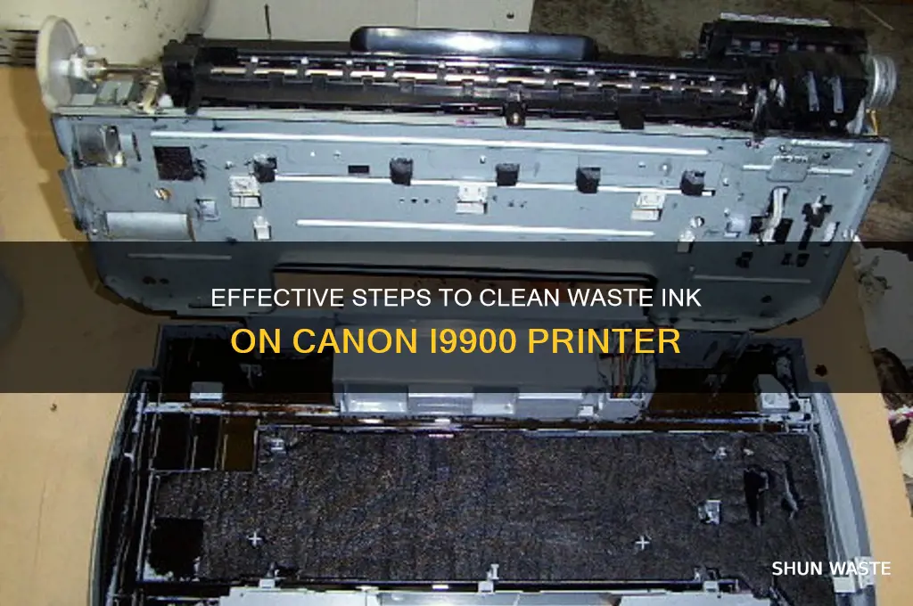 Effective Steps To Clean Waste Ink On Canon I9900 Printer | ShunWaste