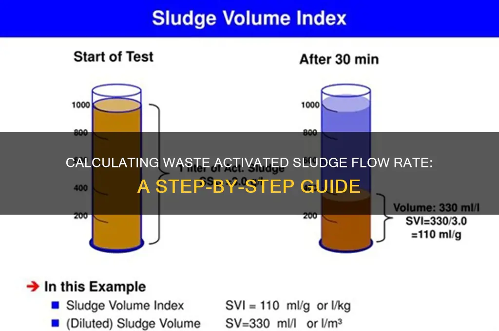 Calculating Waste Activated Sludge Flow Rate: A Step-By-Step Guide ...