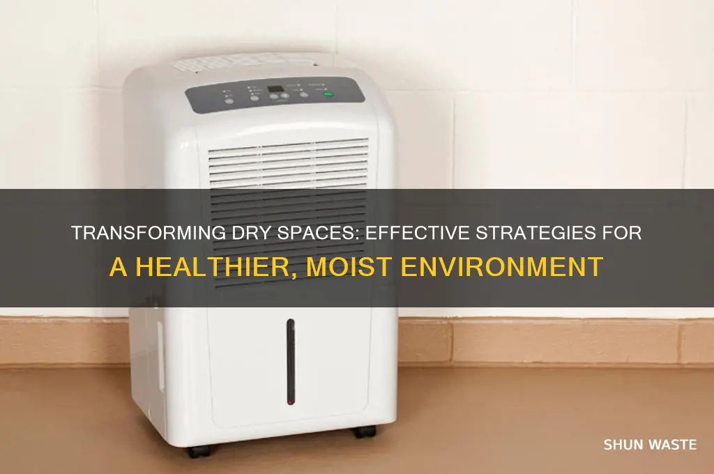 Transforming Dry Spaces: Effective Strategies For A Healthier, Moist ...